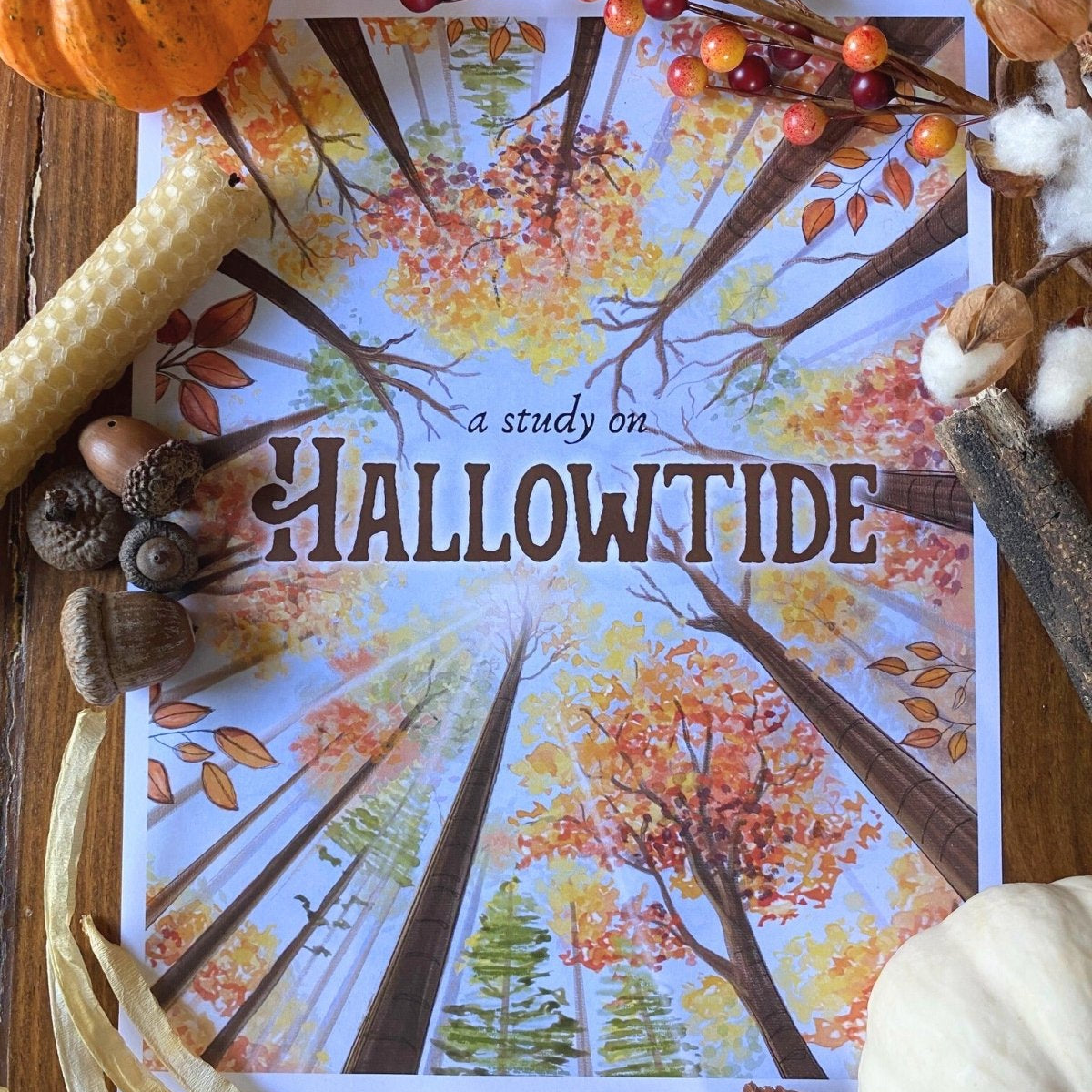 Catholic Study on Hallowtide for Kids– Into the Deep