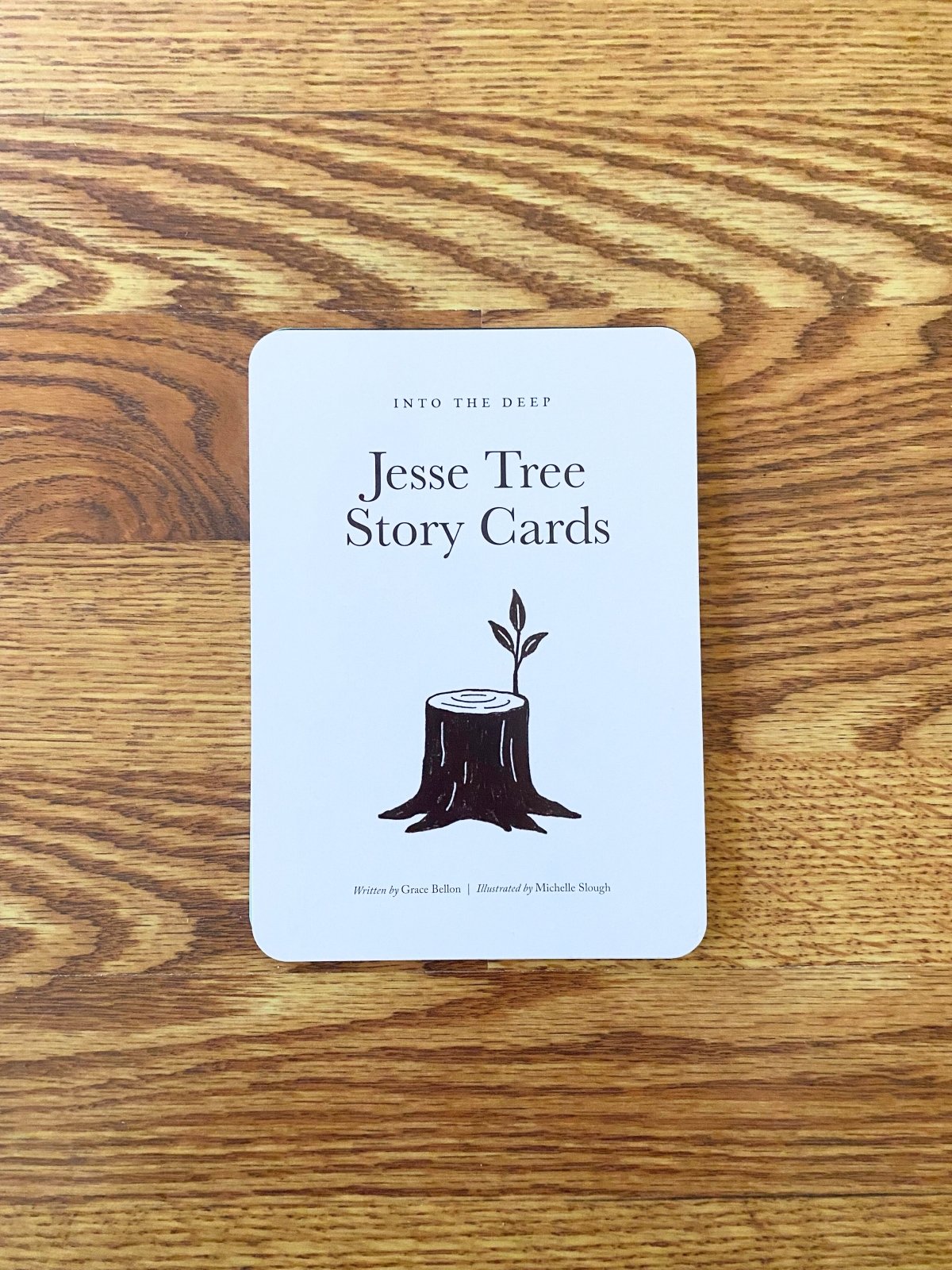 Catholic Jesse Tree Story Cards – Into the Deep